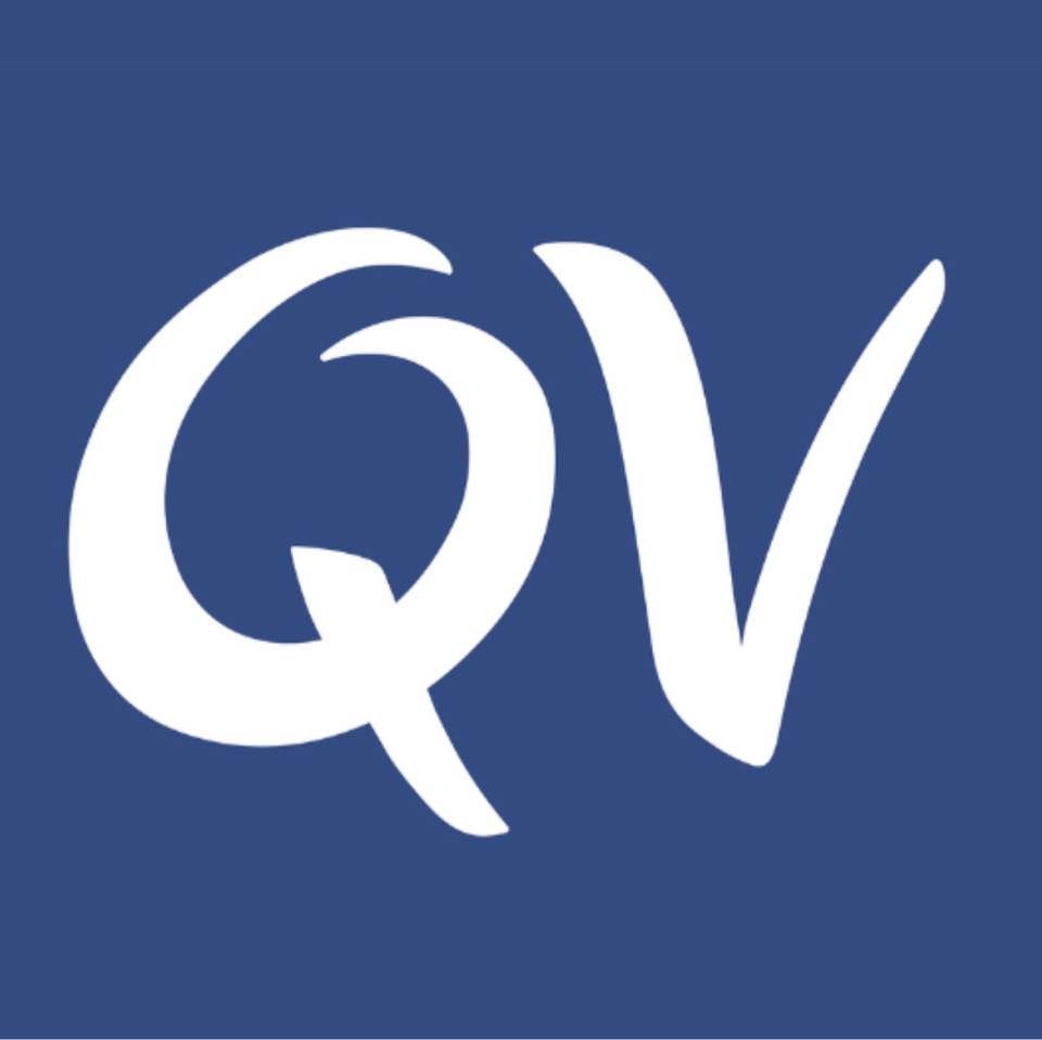 QV Skincare Logo & Brand Assets (SVG, PNG and vector) - Brandfetch