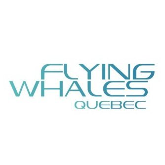 FLYING WHALES Logo & Brand Assets (SVG, PNG and vector) - Brandfetch