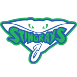 THE STINGRAY ALLSTARS VIRGINIA Logo & Brand Assets (SVG, PNG and vector ...