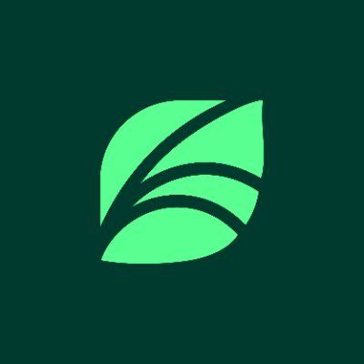 Spring Health Logo & Brand Assets (SVG, PNG and vector) - Brandfetch