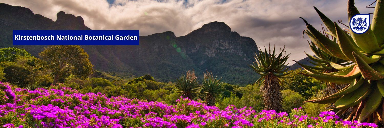 Western Cape Gov Logo & Brand Assets (SVG, PNG and vector) - Brandfetch