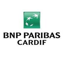BNP Paribas Cardif Logo & Brand Assets (SVG, PNG and vector) - Brandfetch