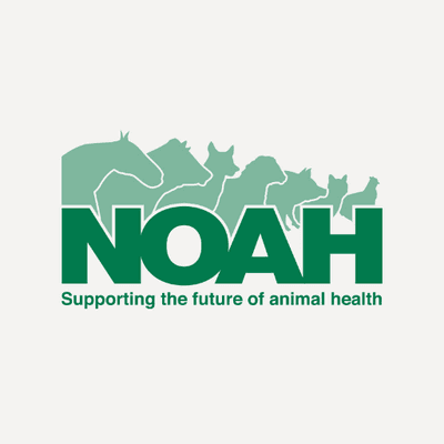 NOAH Logo & Brand Assets (SVG, PNG and vector) - Brandfetch