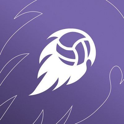 Dodgeball Logo & Brand Assets (SVG, PNG and vector) - Brandfetch