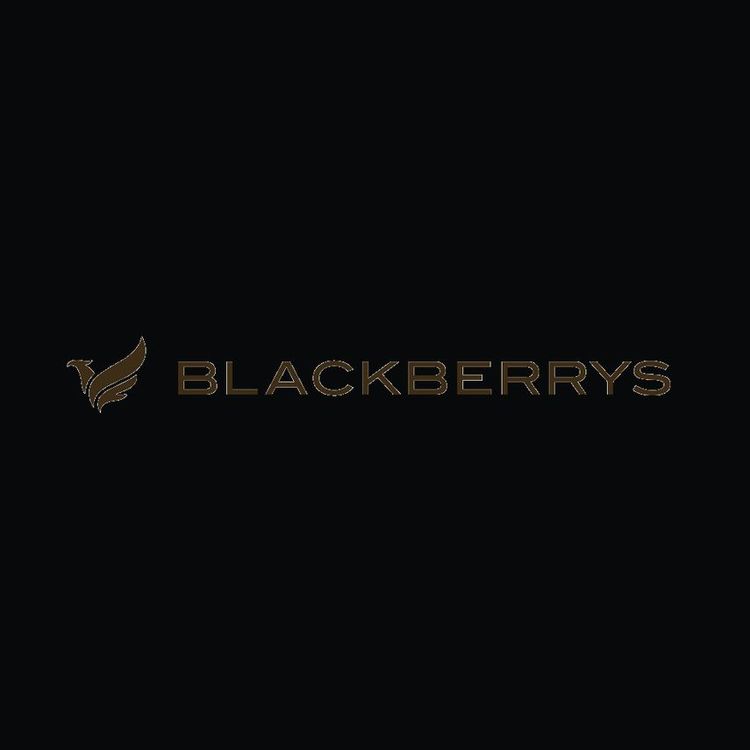 Blackberrys Menswear Logo & Brand Assets (SVG, PNG and vector) - Brandfetch