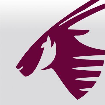Qatar Airways Logo & Brand Assets (SVG, PNG and vector) - Brandfetch