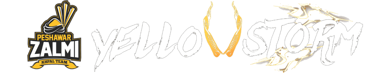 Peshawar Zalmi Logo & Brand Assets (SVG, PNG and vector) - Brandfetch