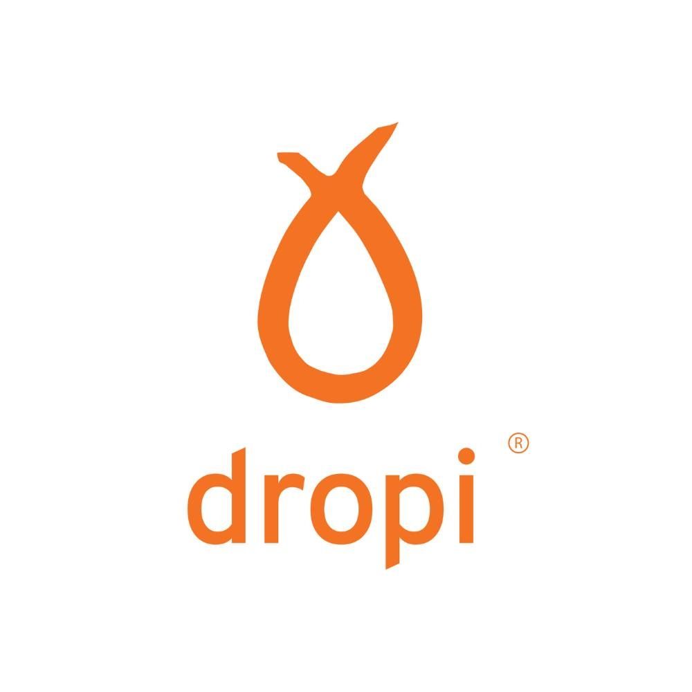 Dropi Logo & Brand Assets (SVG, PNG and vector) - Brandfetch
