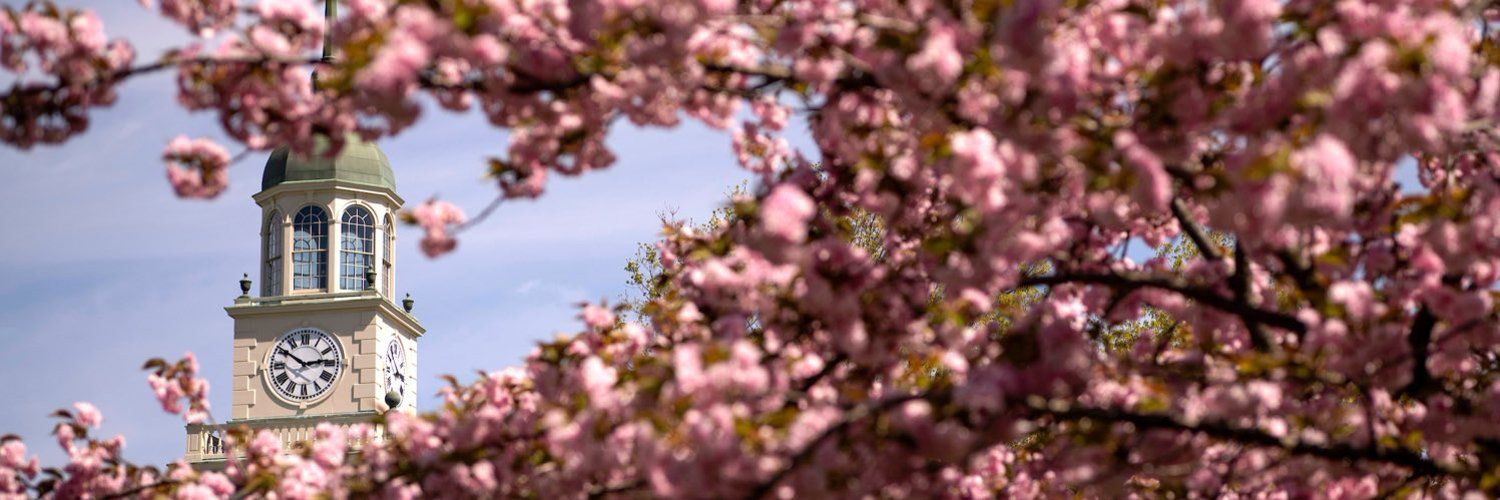 Bucknell University Logo & Brand Assets (SVG, PNG and vector) - Brandfetch