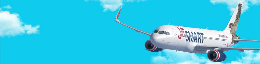 JetSMART Airlines Logo & Brand Assets (SVG, PNG and vector) - Brandfetch