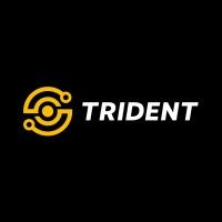 Trident Systems Logo & Brand Assets (SVG, PNG and vector) - Brandfetch