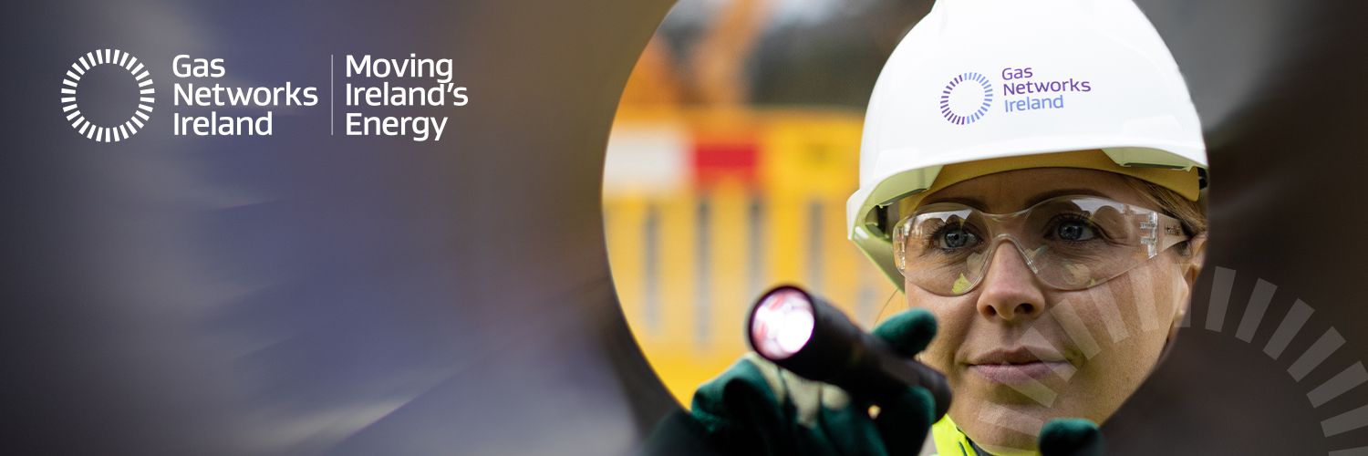 Gas Networks Ireland Logo & Brand Assets (SVG, PNG and vector) - Brandfetch