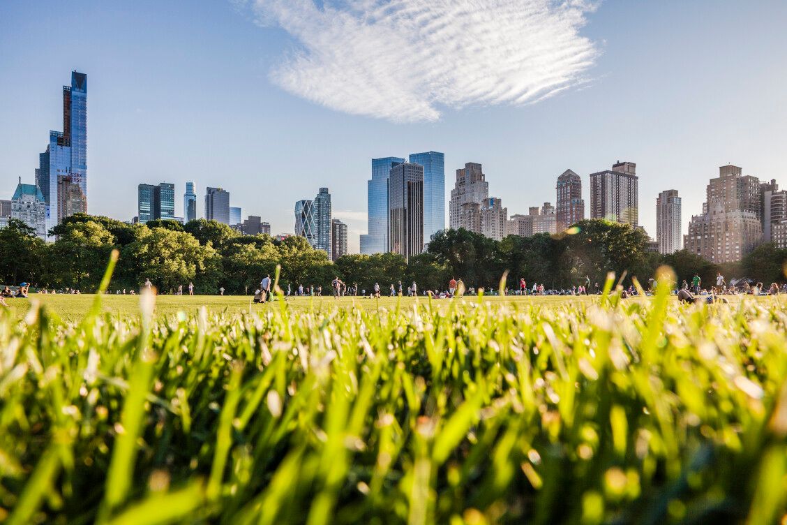 Groupe Onet Logo & Brand Assets (SVG, PNG and vector) - Brandfetch