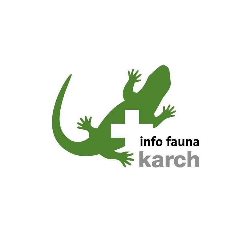 Info fauna karch Logo & Brand Assets (SVG, PNG and vector) - Brandfetch