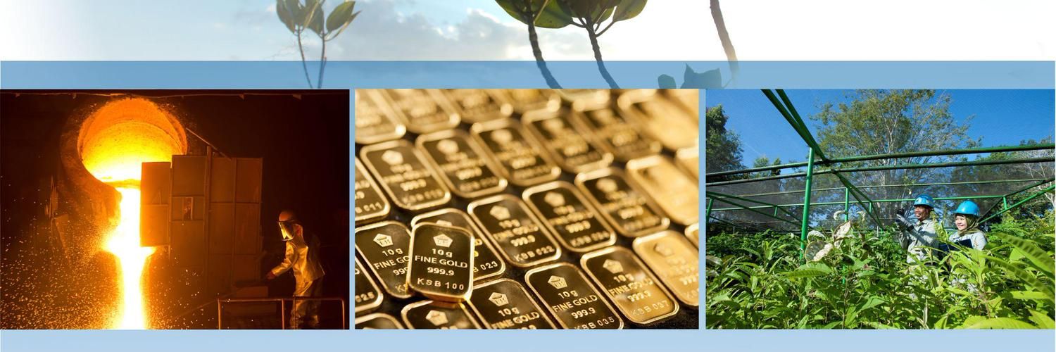 ANTAM Logo & Brand Assets (SVG, PNG and vector) - Brandfetch