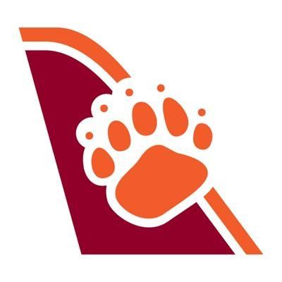 Bearskin Airlines Logo & Brand Assets (SVG, PNG and vector) - Brandfetch