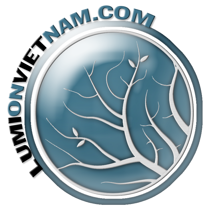 Lumion Viet Nam Logo & Brand Assets (SVG, PNG and vector) - Brandfetch