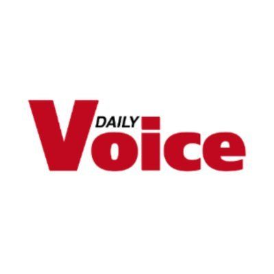 Daily Voice Logo & Brand Assets (SVG, PNG and vector) - Brandfetch