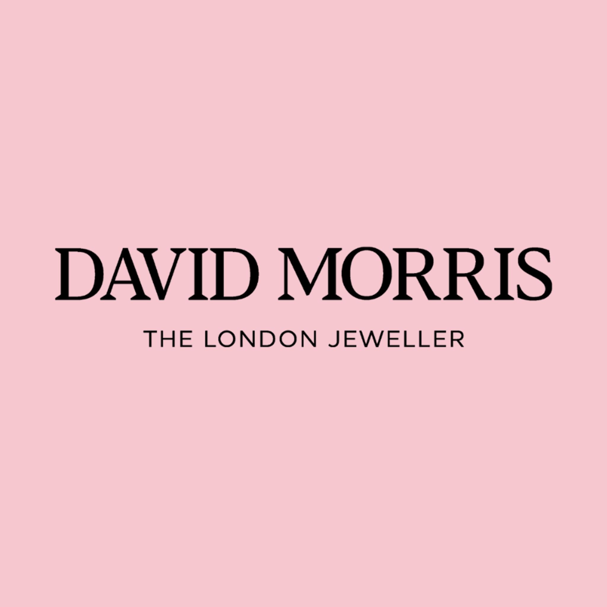 David Morris Logo & Brand Assets (SVG, PNG and vector) - Brandfetch