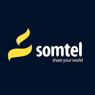 Somtel Logo & Brand Assets (SVG, PNG and vector) - Brandfetch