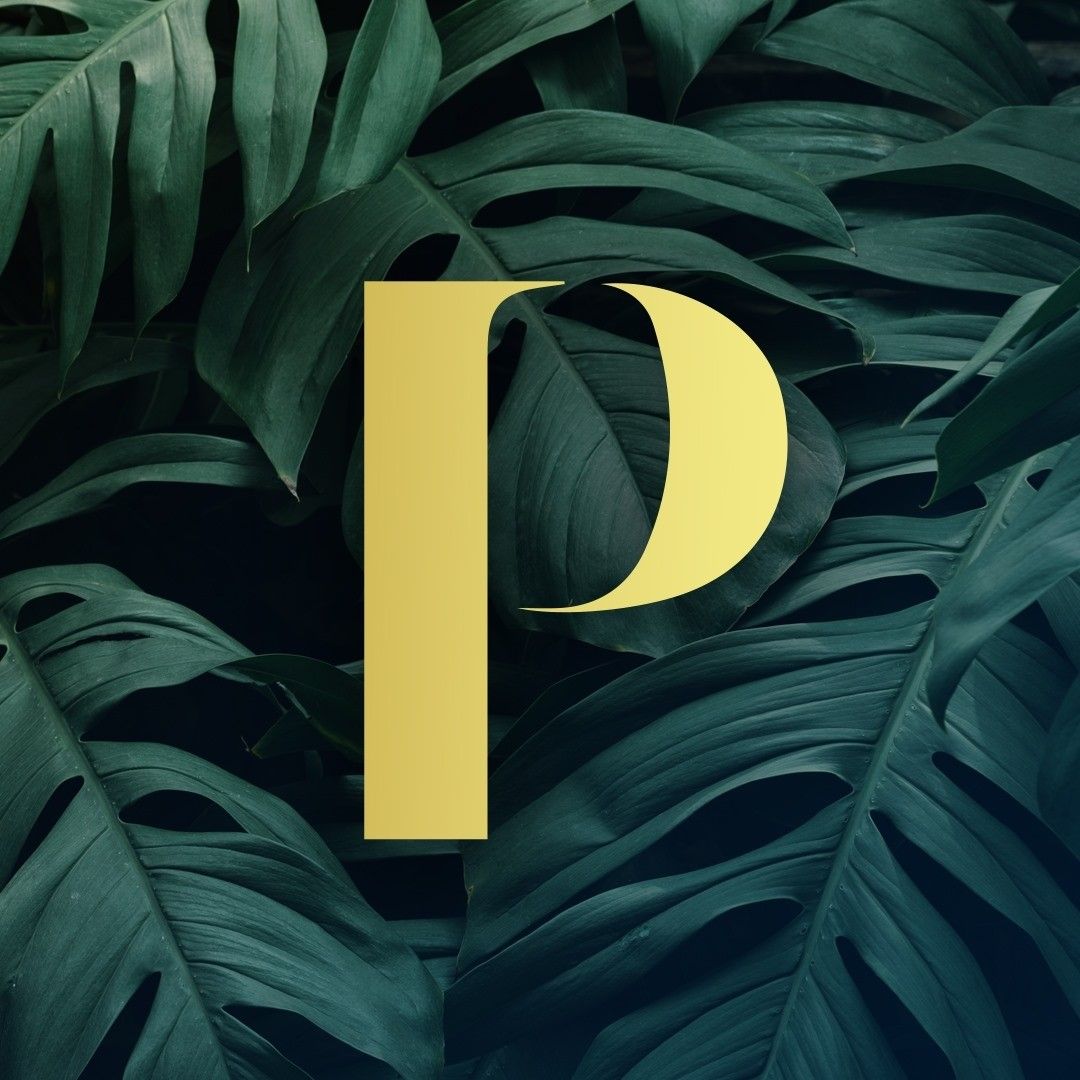 Paradiso Logo & Brand Assets (SVG, PNG and vector) - Brandfetch