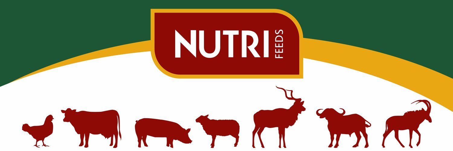 Nutri Feeds Logo & Brand Assets (SVG, PNG and vector) - Brandfetch
