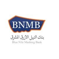 Blue Nile Mashreg Bank Logo & Brand Assets (SVG, PNG and vector ...