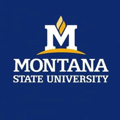 Montana State University Logo & Brand Assets (SVG, PNG and vector ...