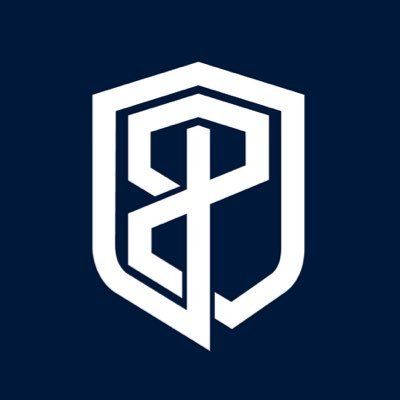 primitive logo vector