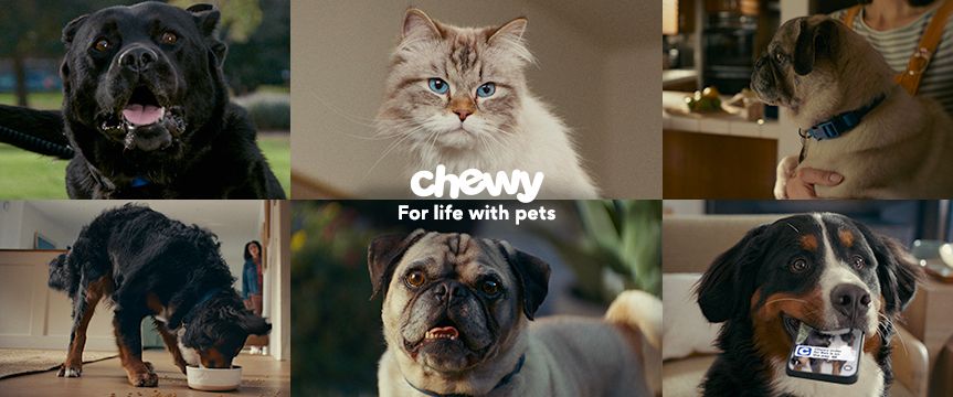 Chewy Logo & Brand Assets (SVG, PNG and vector) - Brandfetch