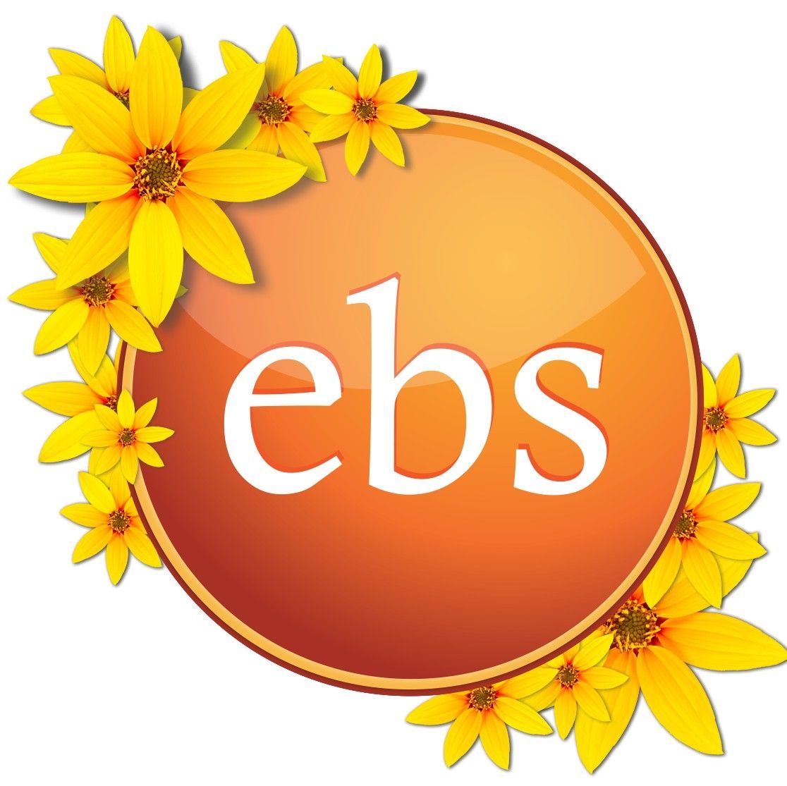 EBS TV Logo & Brand Assets (SVG, PNG and vector) - Brandfetch