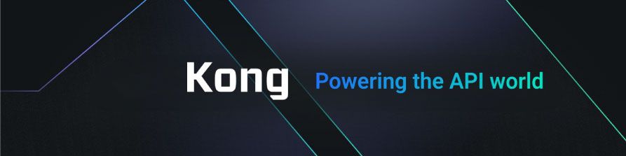 Kong Logo & Brand Assets (SVG, PNG and vector) - Brandfetch