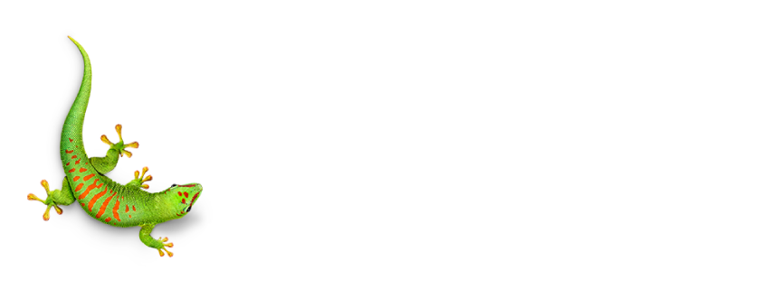 Bostik Logo & Brand Assets (SVG, PNG and vector) - Brandfetch