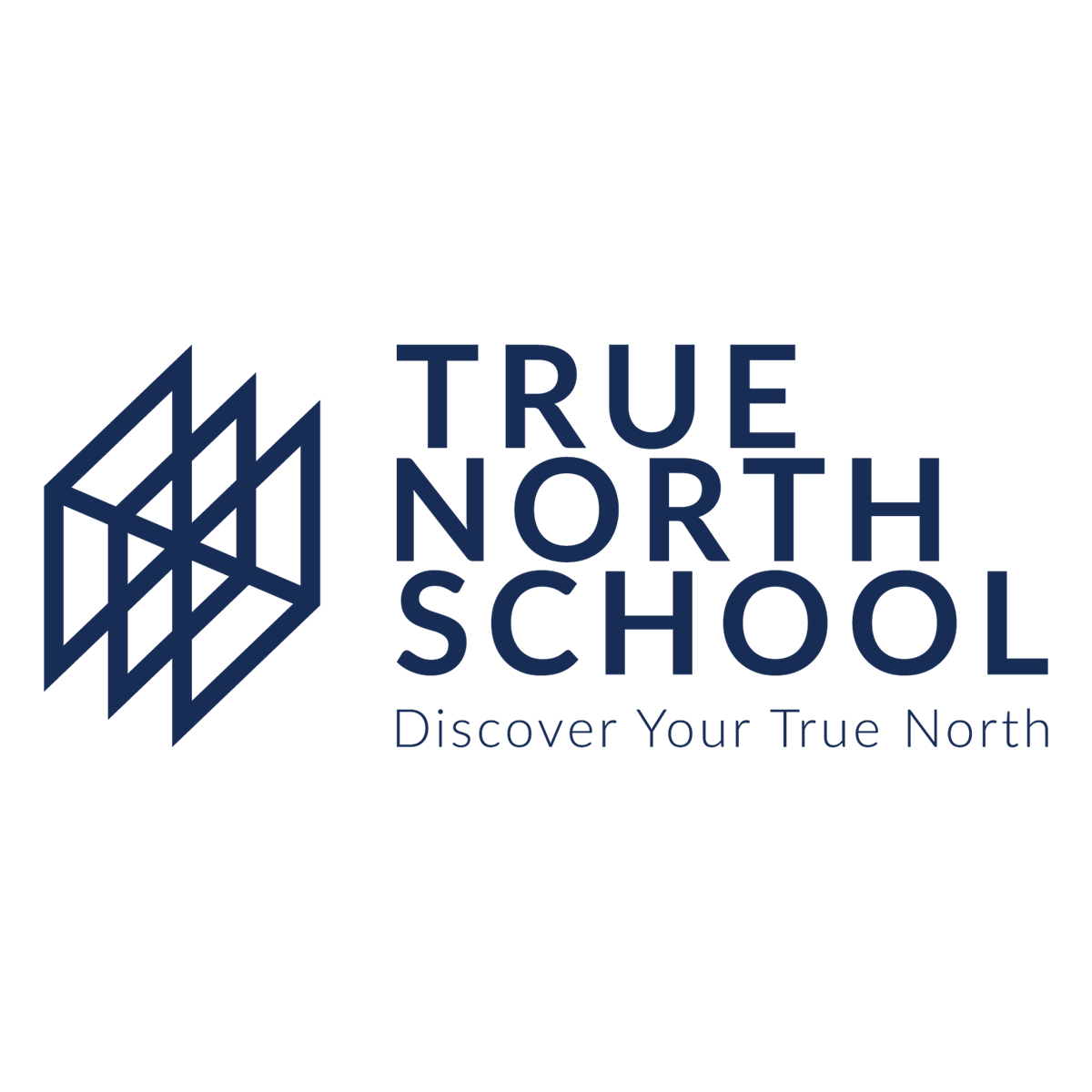 True North Logo & Brand Assets (SVG, PNG and vector) - Brandfetch