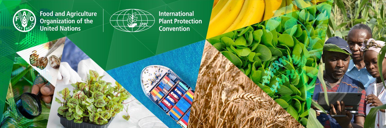 IPPC Logo & Brand Assets (SVG, PNG and vector) - Brandfetch