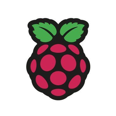 Raspberry Pi Foundation Logo & Brand Assets (SVG, PNG and vector ...
