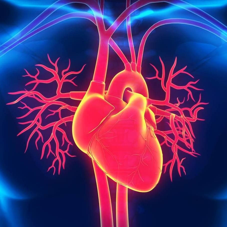 Cirugía Cardiovascular Logo & Brand Assets (SVG, PNG and vector ...