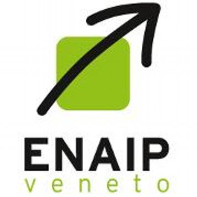 ENAIP VENETO Logo & Brand Assets (SVG, PNG and vector) - Brandfetch