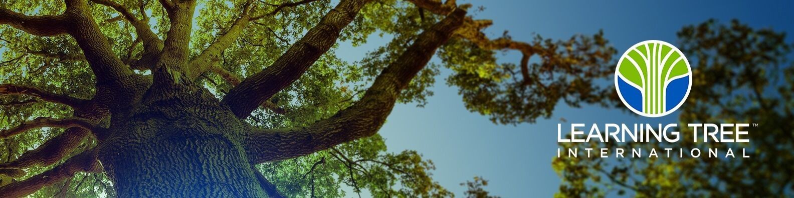 Learning Tree International Logo