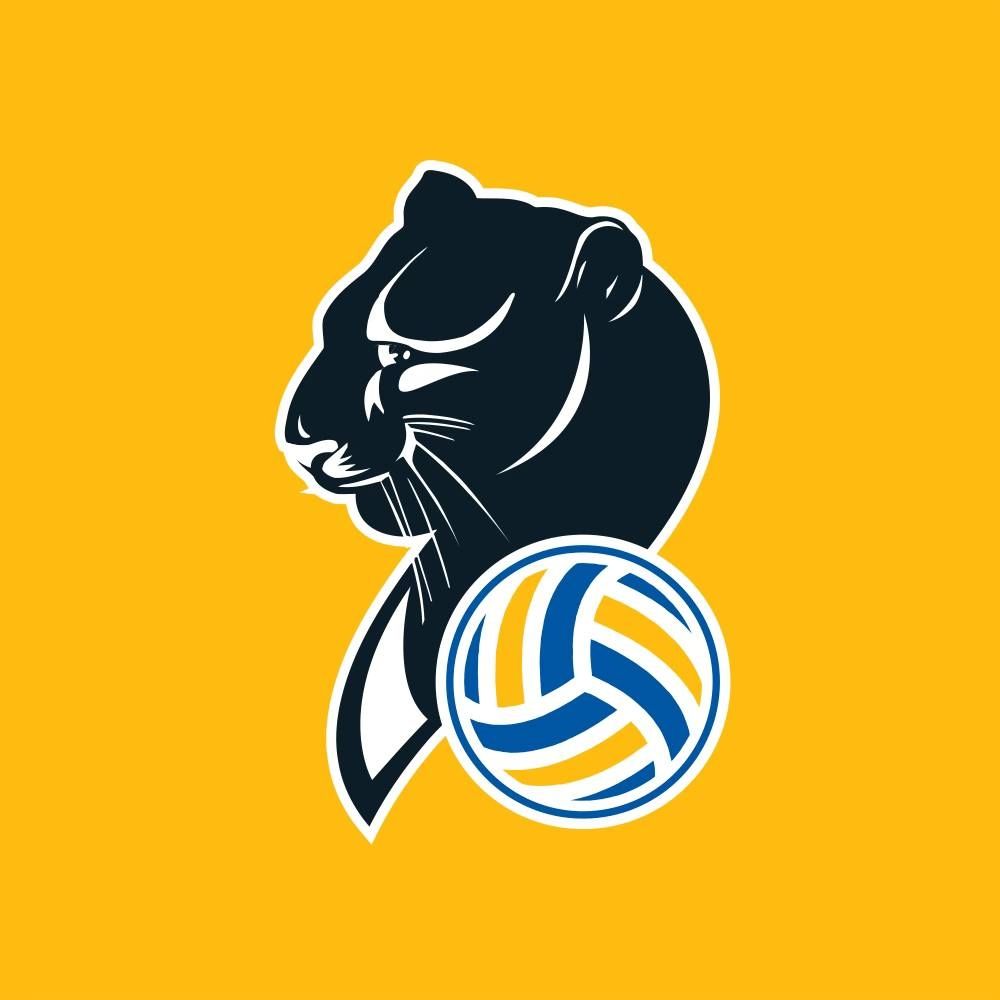 Imoco Volley Logo & Brand Assets (SVG, PNG and vector) - Brandfetch