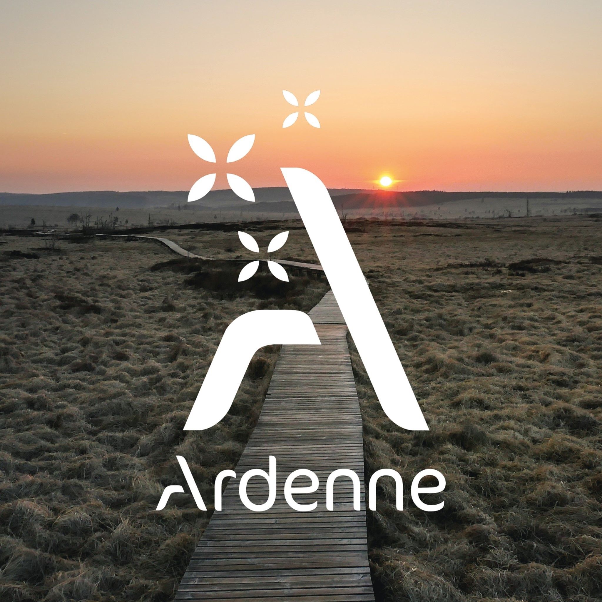 Visit Ardenne Logo & Brand Assets (SVG, PNG and vector) - Brandfetch