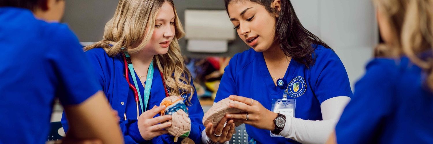 Chamberlain University Logo & Brand Assets (SVG, PNG and vector ...