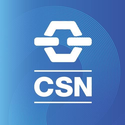 CSN Logo & Brand Assets (SVG, PNG and vector) - Brandfetch