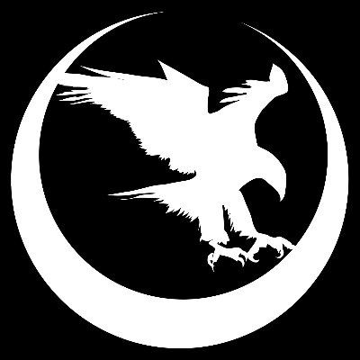 nighthawks logo
