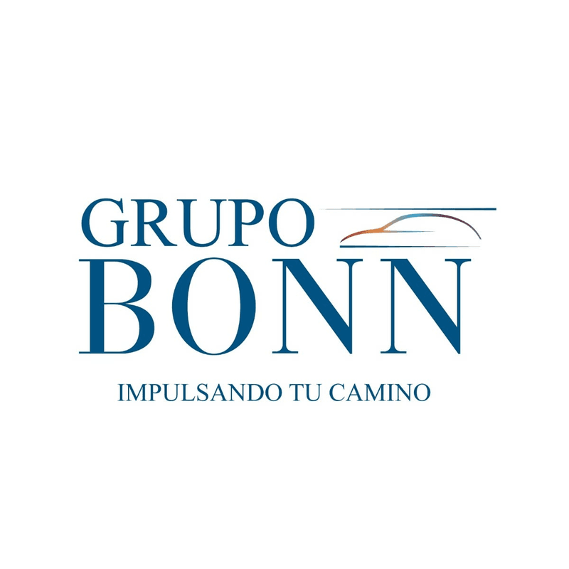 Grupo Bonn Logo & Brand Assets (SVG, PNG and vector) - Brandfetch