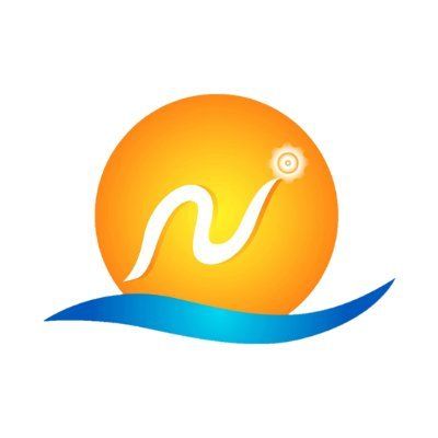 Nimble Infosys Logo & Brand Assets (SVG, PNG and vector) - Brandfetch