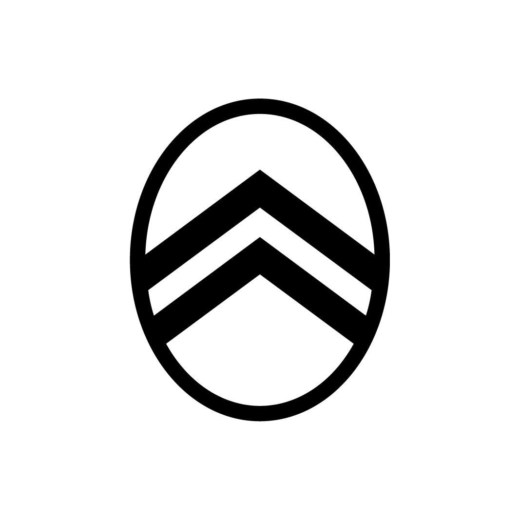Citroën Logo & Brand Assets (SVG, PNG and vector) - Brandfetch