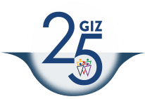 GIZ Logo & Brand Assets (SVG, PNG and vector) - Brandfetch