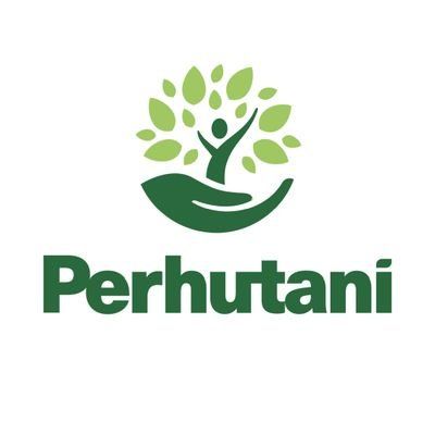 Perum Perhutani Logo & Brand Assets (SVG, PNG and vector) - Brandfetch