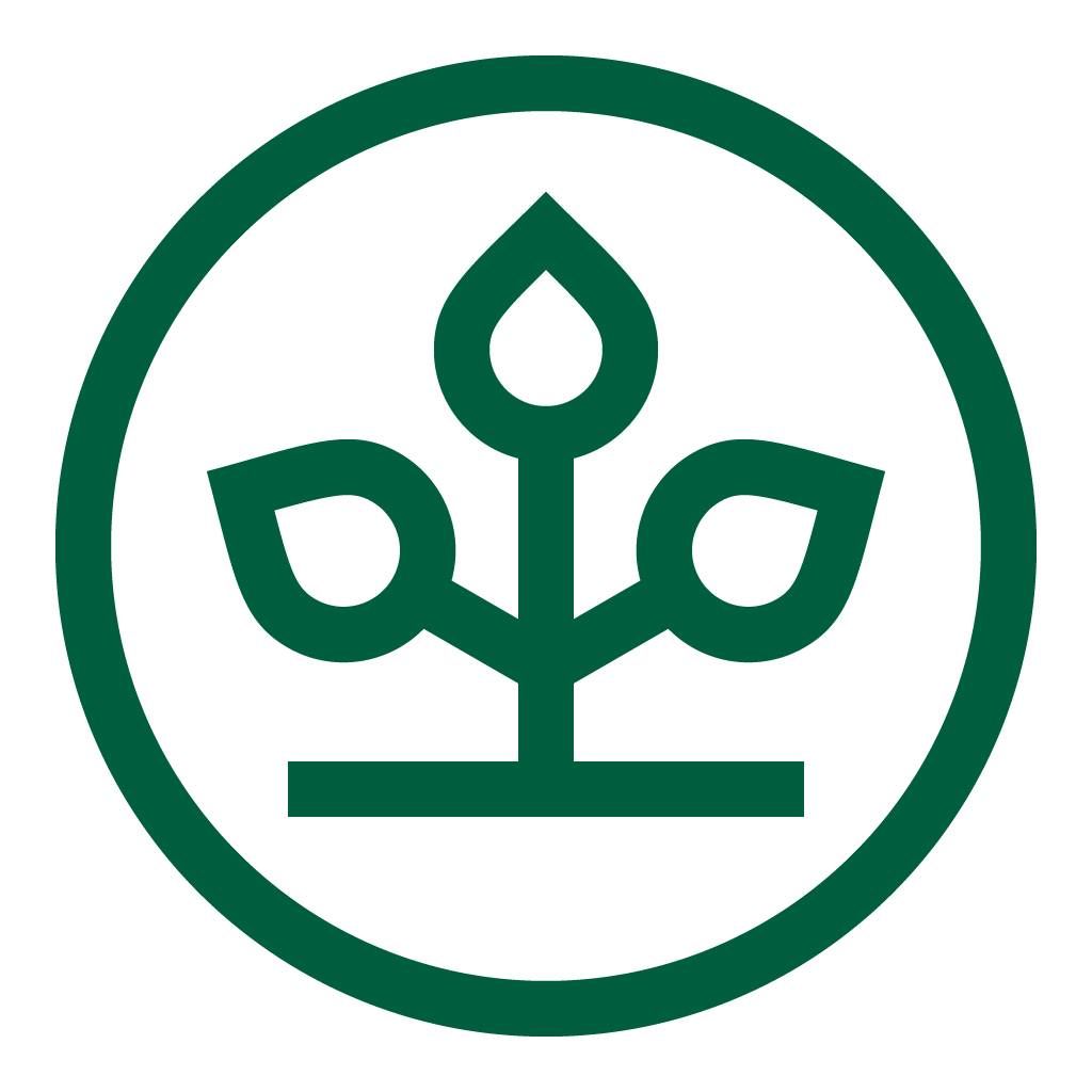 AOK Logo & Brand Assets (SVG, PNG and vector) - Brandfetch